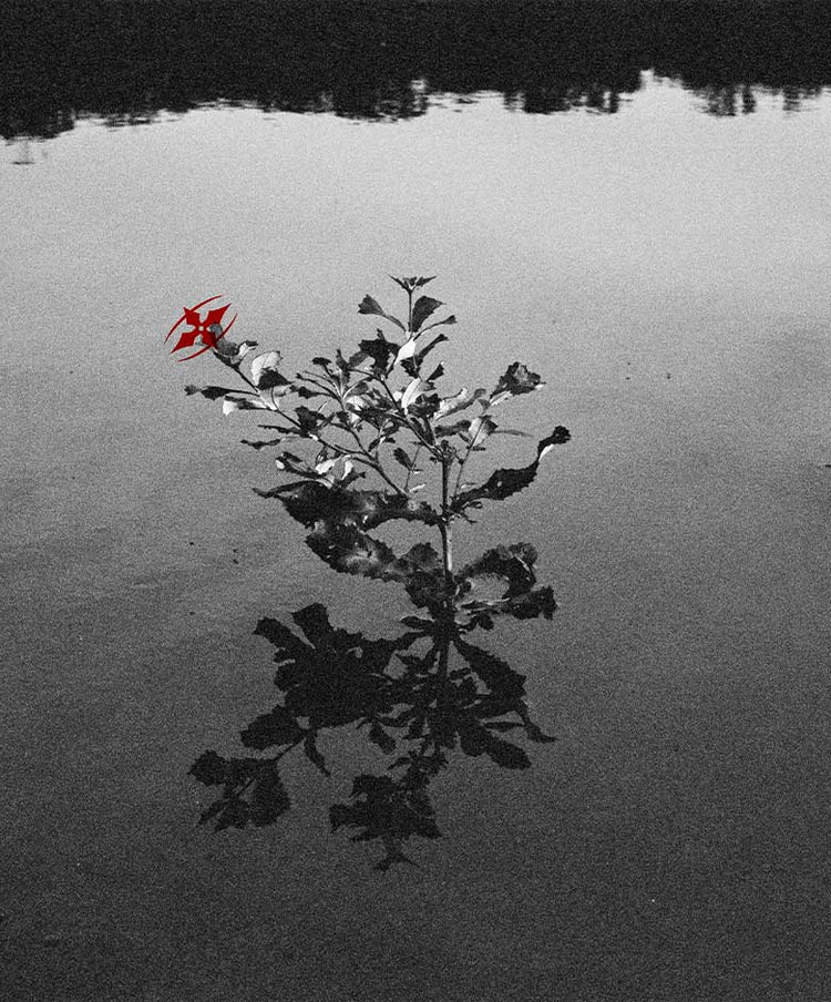 TEENAGE ZERO - MATTE CHROME / GREY | Ritual Vision